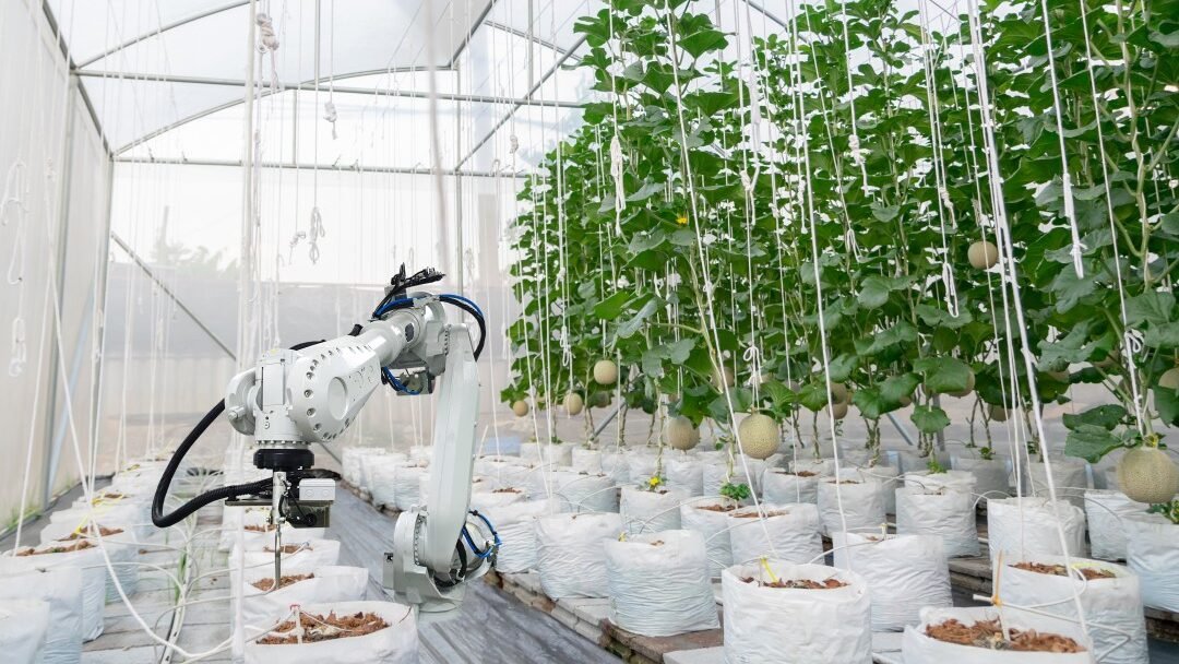 New UAE Platform Revolutionizes Food Security and Local