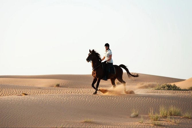 Unforgettable Horse Riding Adventures Await in Dubai Desert