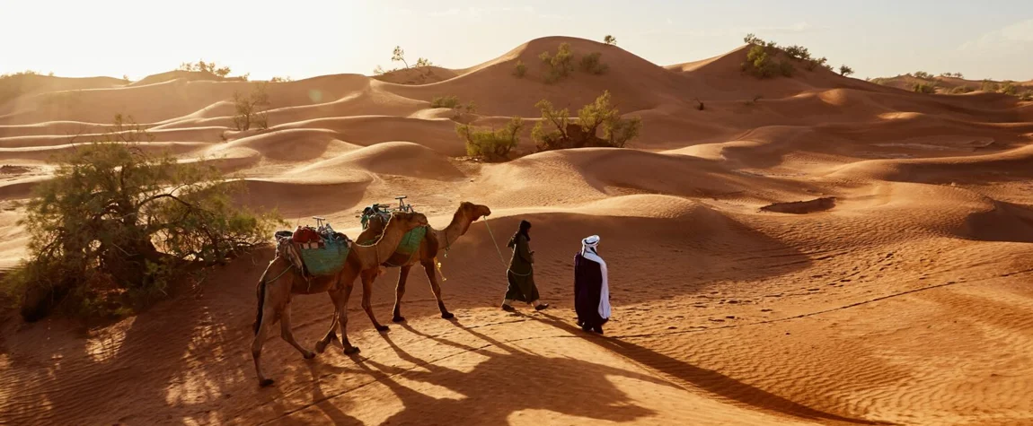 Al Marmoom Desert Conservation Reserve Offers Wildlife Safaris And ...