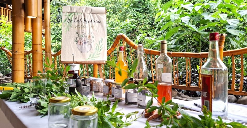 Emirati Herbal Workshops That Give You Wellness and Instagram Aesthetic ...