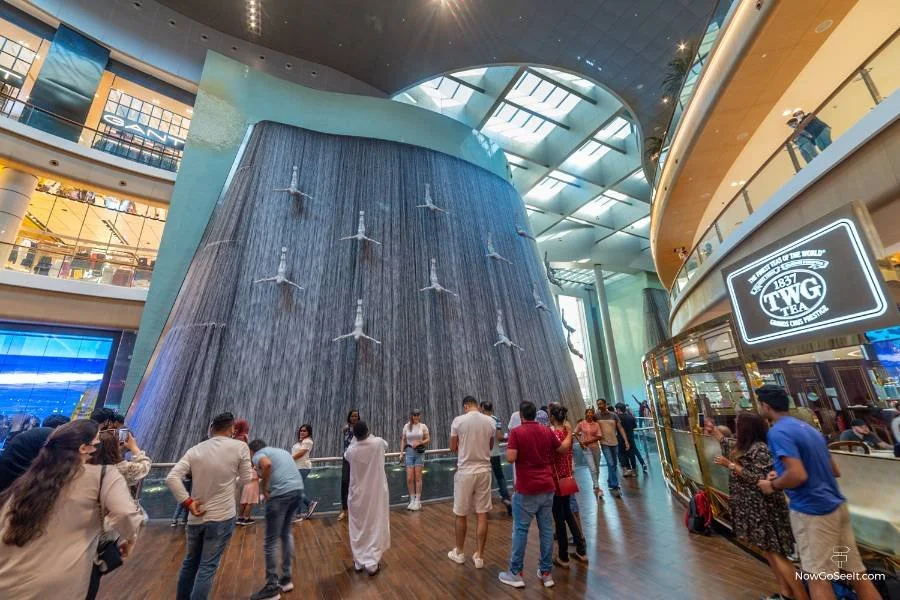 Explore the Dubai Mall Attractions: a World of Wonders